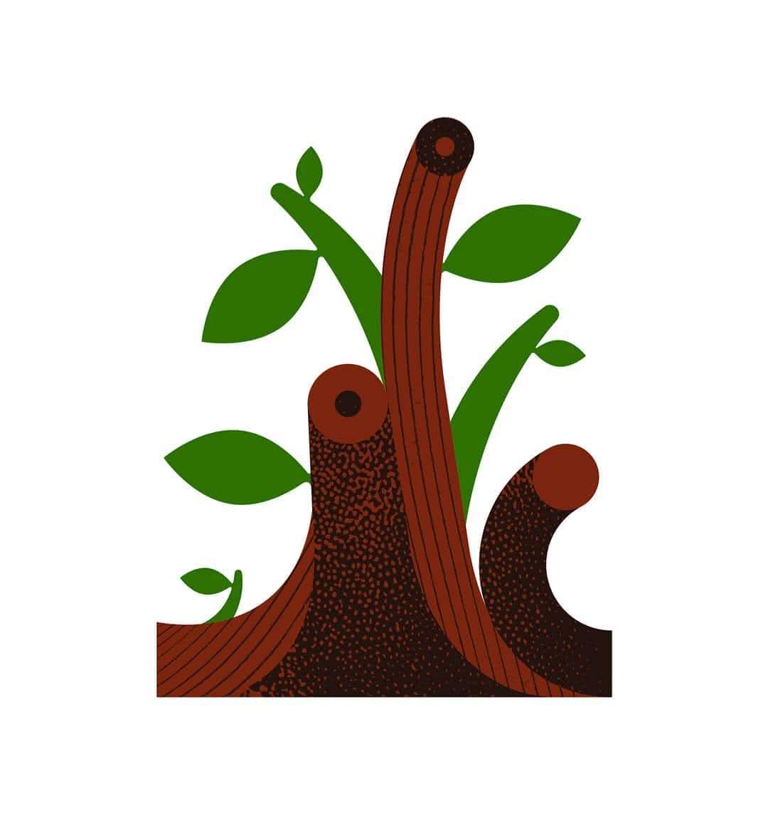 Unlocking the Benefits of Agroforestry: Exploring the Living Carbon ...